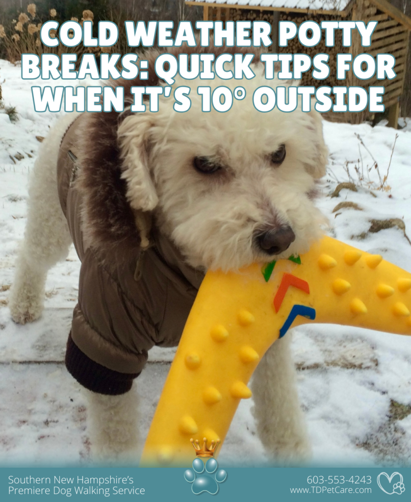 Cold Weather Potty Breaks: Quick Tips for When It's 10° Outside ...