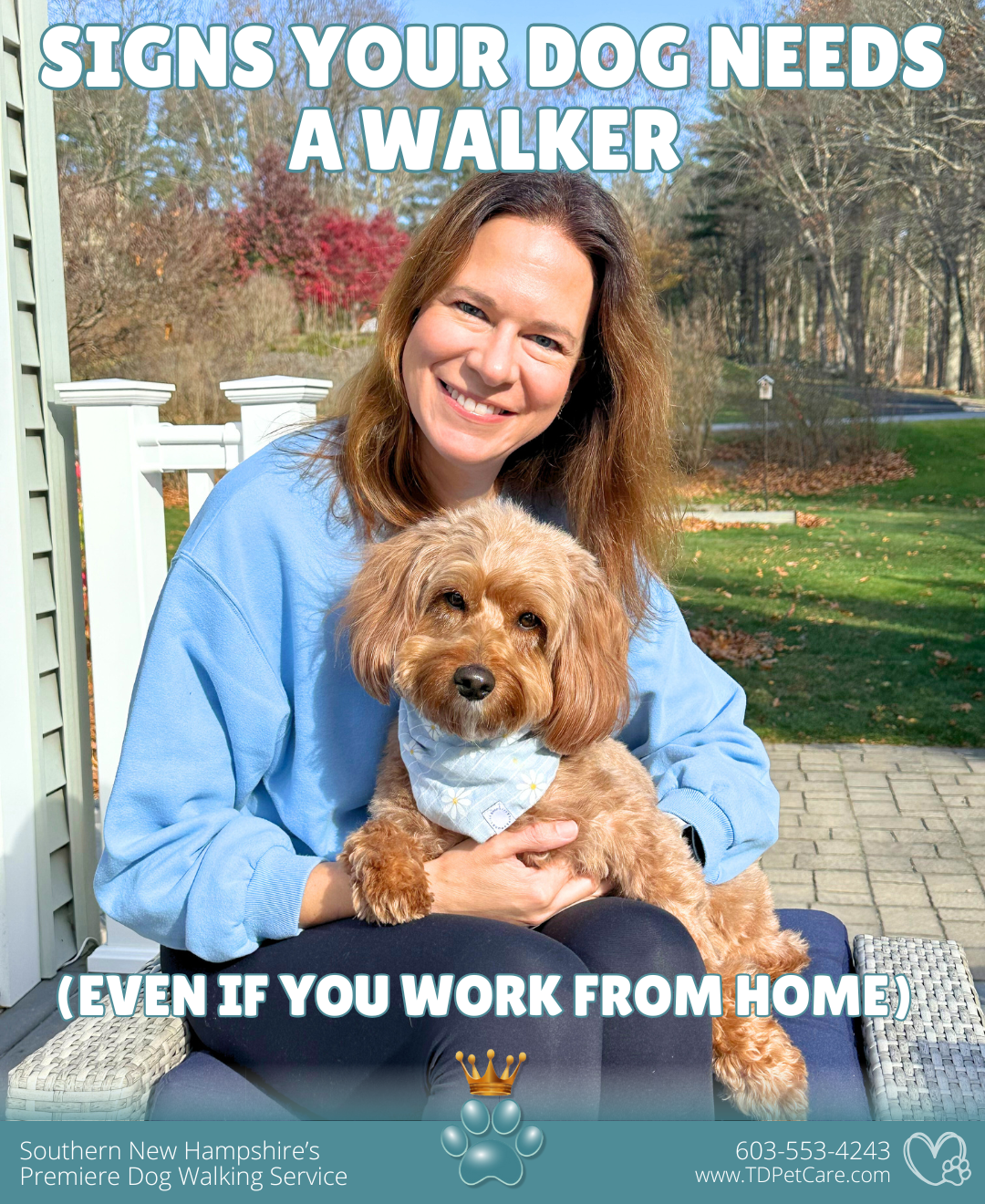 Signs-Your-Dog-Needs-a-Walker-Even-If-You-Work-From-Home | Londonderry ...